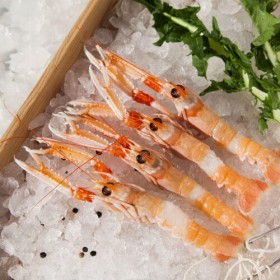 Vendita di pesce fresco online dalla Puglia | Made in Masseria